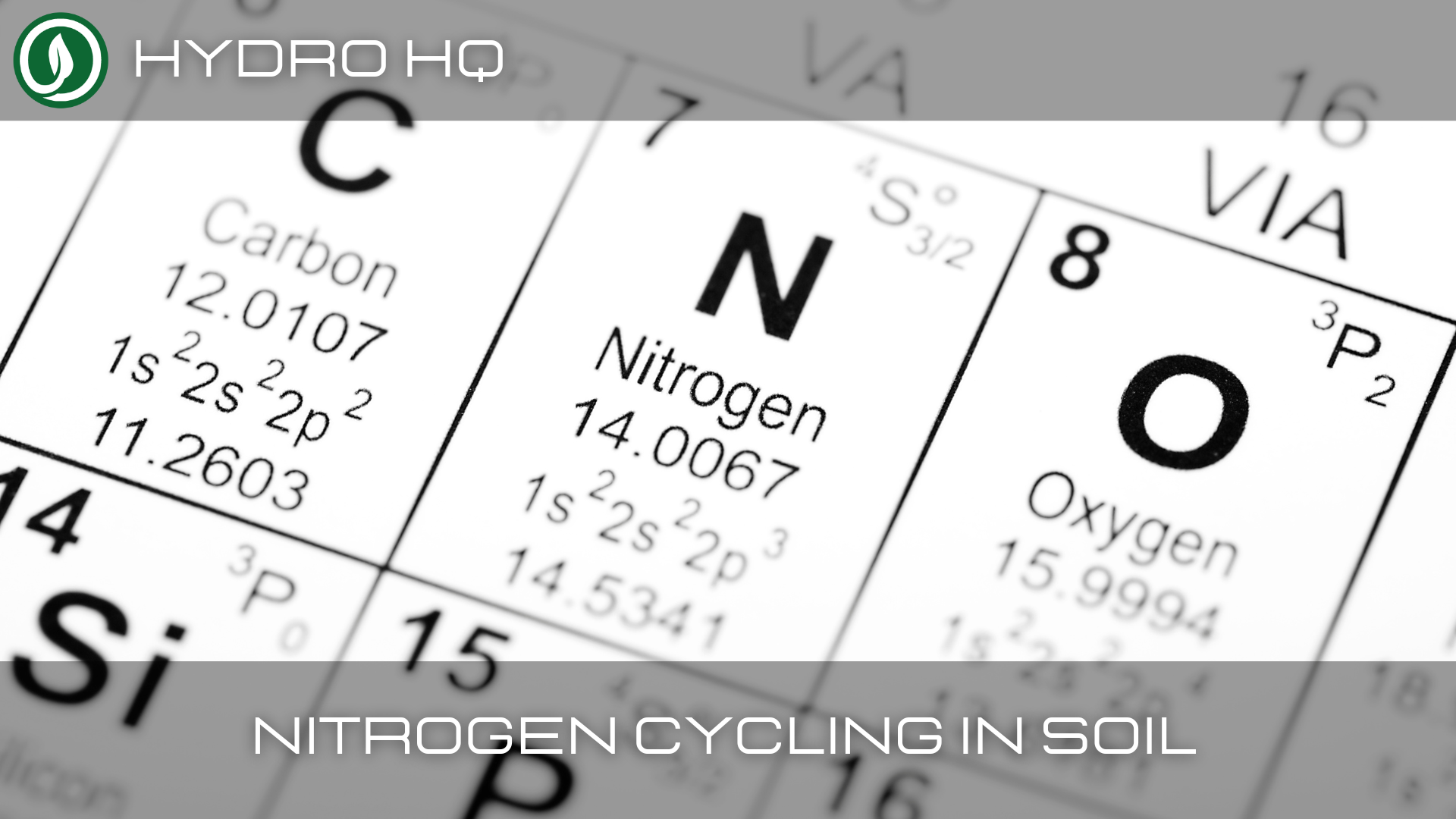Nitrogen Cycling in Soil – Northern Organics